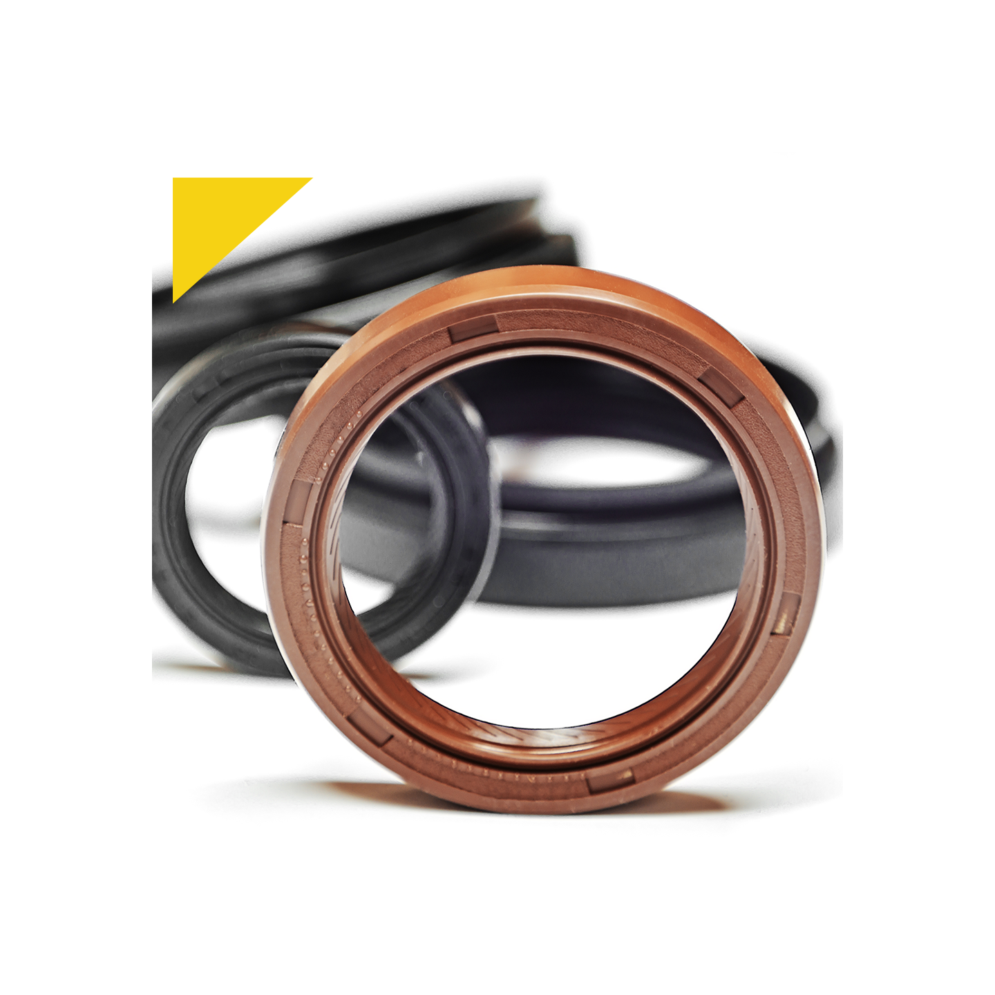 Paulstra oil seals